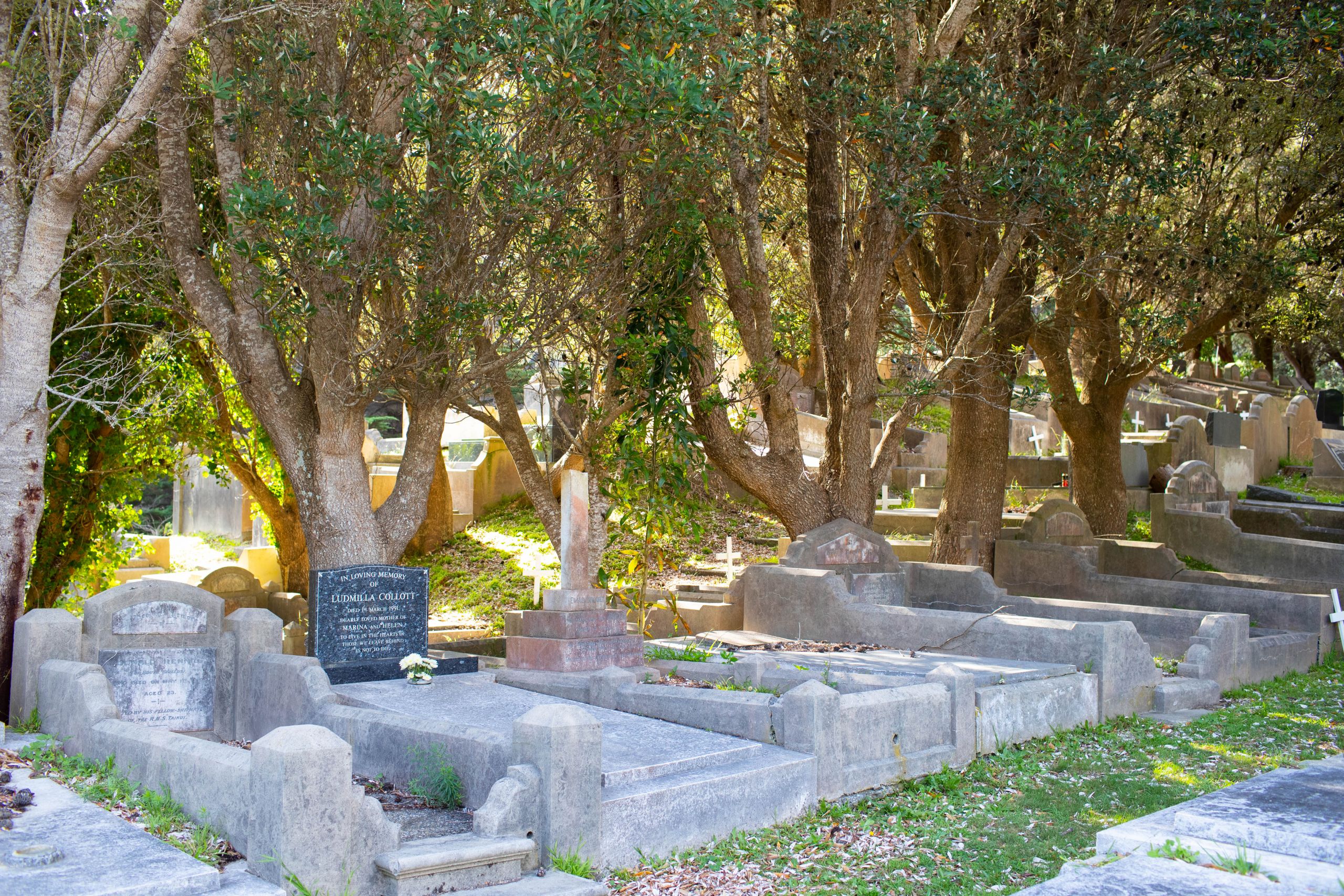 Cemeteries Management Plan Review | Let's Talk